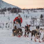 Excursiones, visitas guiadas y actividades en Tromsø - Civitatis