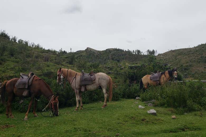 Paseo a caballo por el Templo de la Luna y Montaña de Chacan desde, Cusco