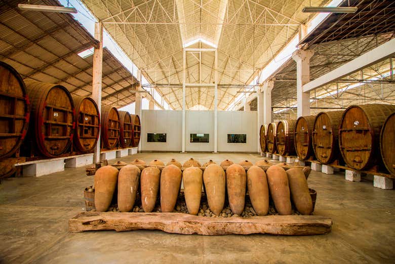 Ica Private Tours - Book Online at Civitatis.com