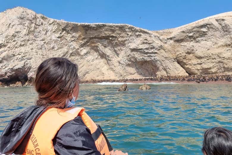 Tour delle isole Ballestas e Riserva Nazionale di Paracas da Ica