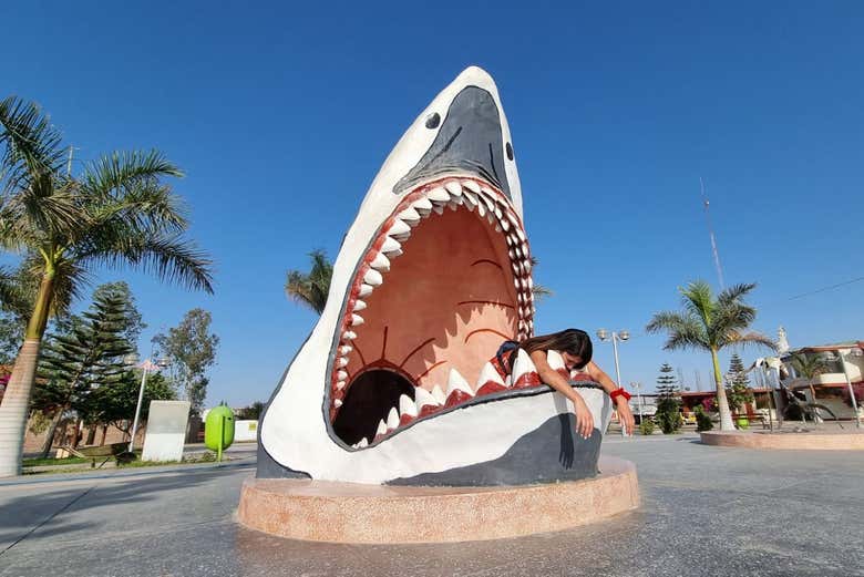 Excursão de Ica ao Cânion de los Perdidos - Civitatis.com