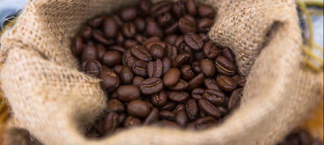 Villa Rica Coffee Tour from La Merced - Book at Civitatis.com