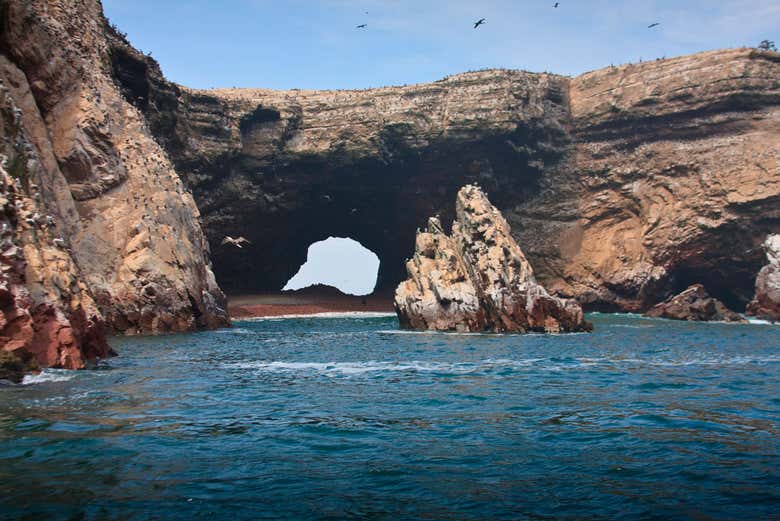 Escursione alle isole Ballestas da Paracas - Civitatis.com