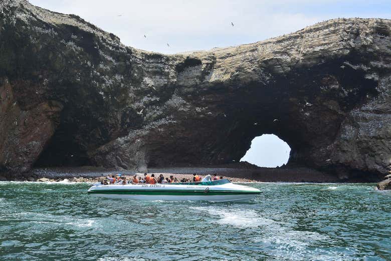 Escursione alle isole Ballestas da Paracas - Civitatis.com