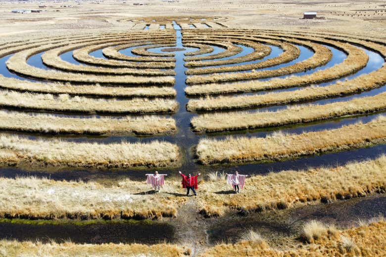 Excursión a Chucuito, Aramu Muru y Juli desde Puno