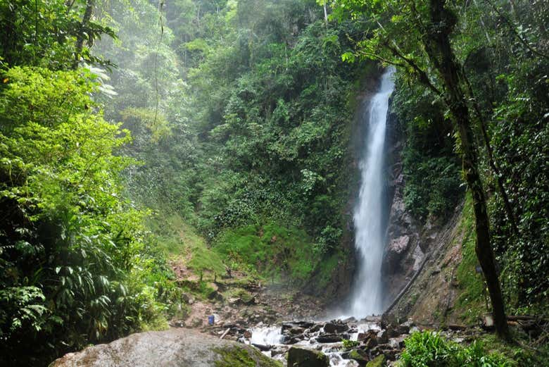 Tour por el valle del Perené y cataratas de Chanchamayo desde San Ramón