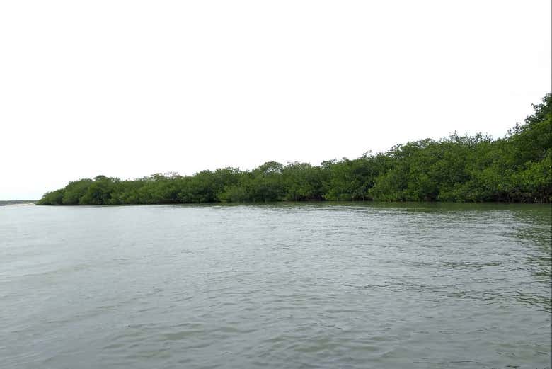 Tour privado por Tumbes + Passeio de lancha pelos manguezais