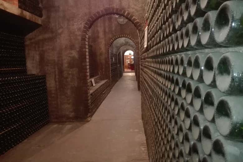 Bairrada Wine Region Tour from Coimbra - Book at Civitatis.com