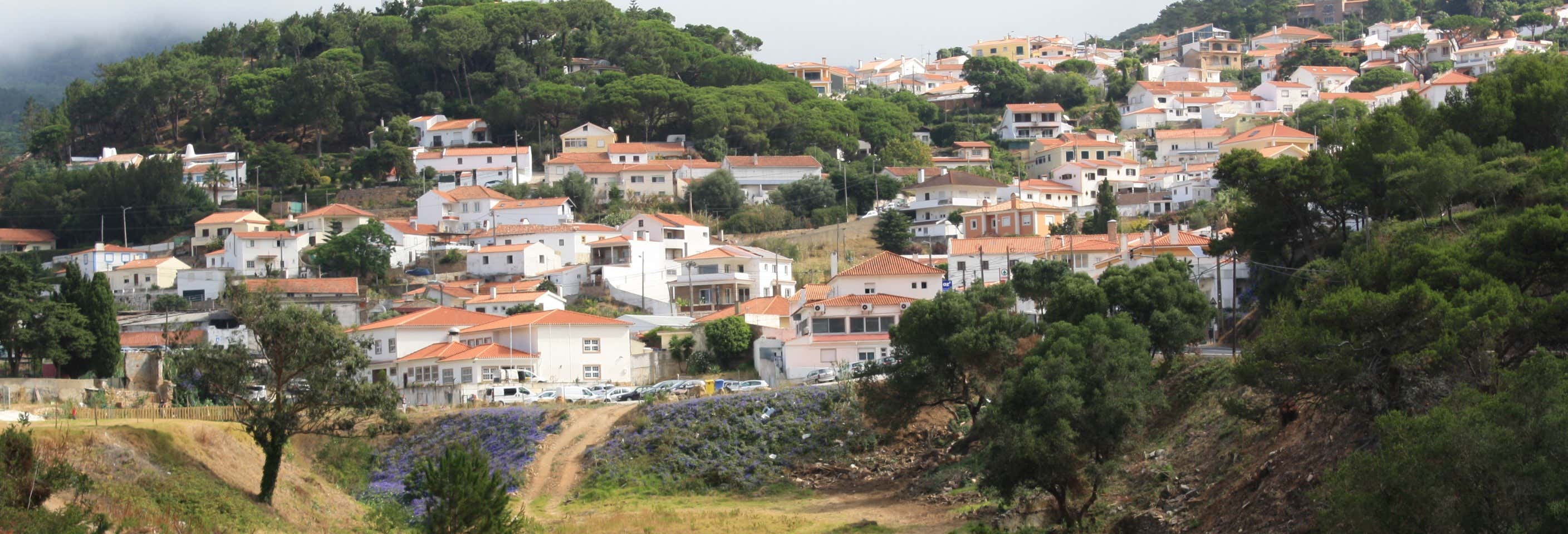 Excursiones, visitas guiadas y actividades en Malveira - Civitatis