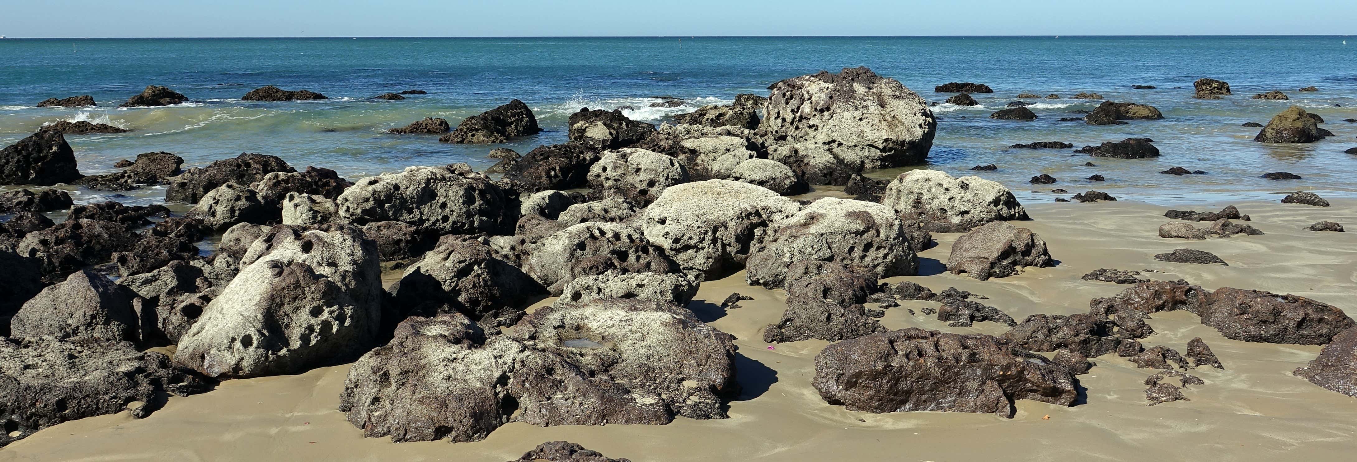 Excursiones, visitas guiadas y actividades en M'Bour - Civitatis