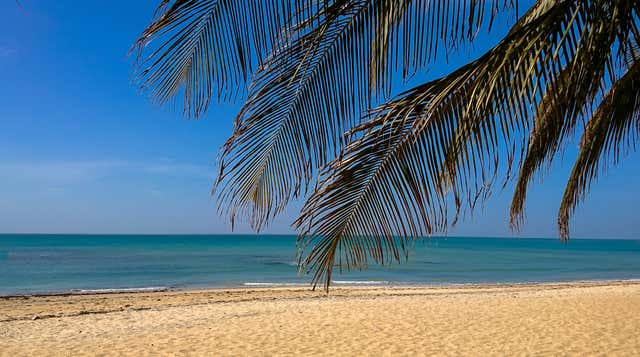 Excursiones, visitas guiadas y actividades en Pointe Sarène