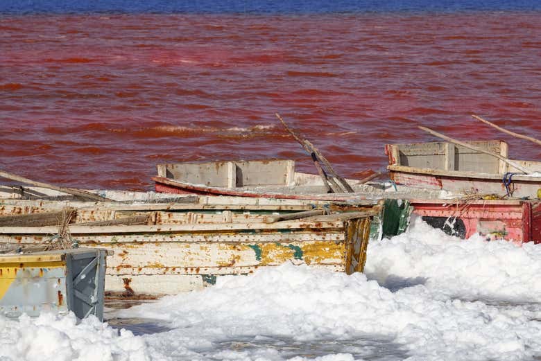 Excursão à Ilha de Goreia e ao Lago Rosa saindo de Saly