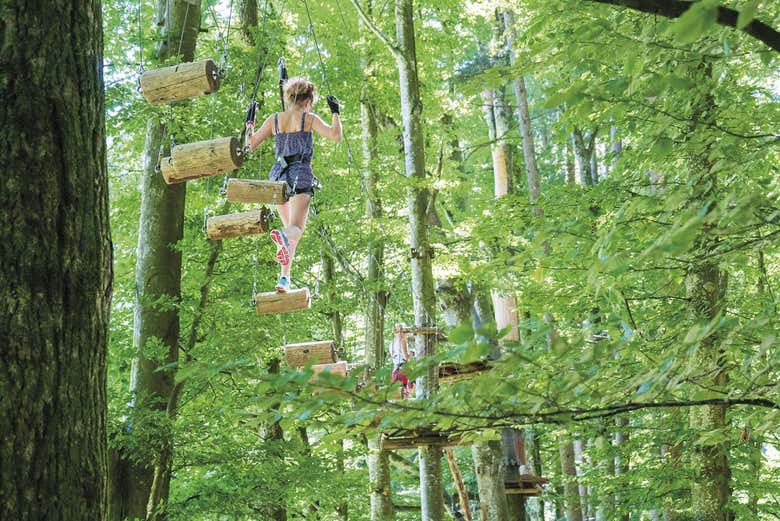 Billet pour Adventure Park, Interlaken