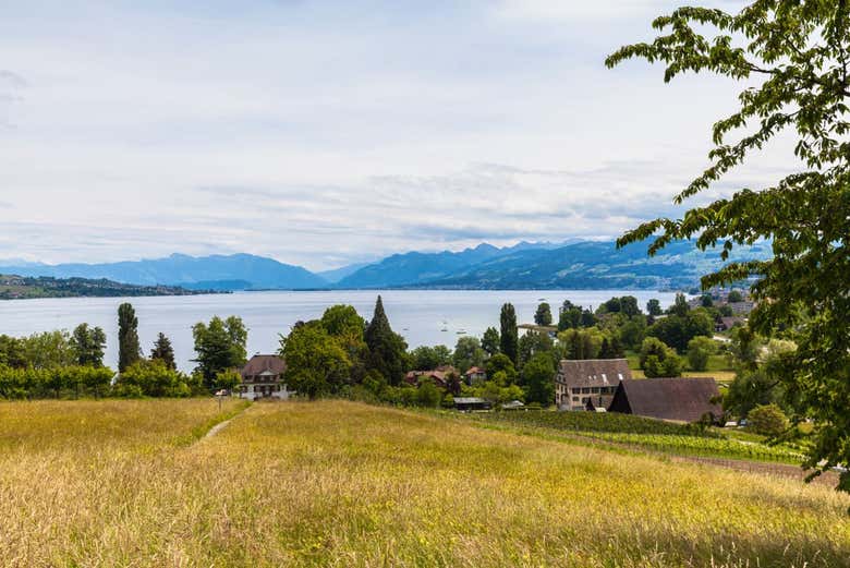 Zurich Complete Tour - Book Online at Civitatis.com