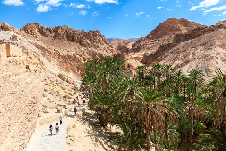 Tamerza, Chebika & Mides Excursion from Tozeur - Civitatis.com