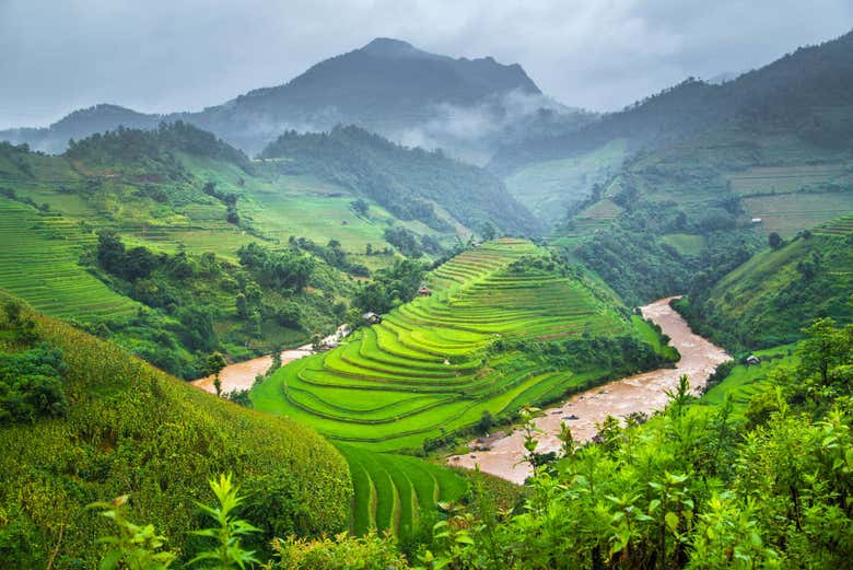 Sapa Rice Terrace Trekking - Book Online at Civitatis.com