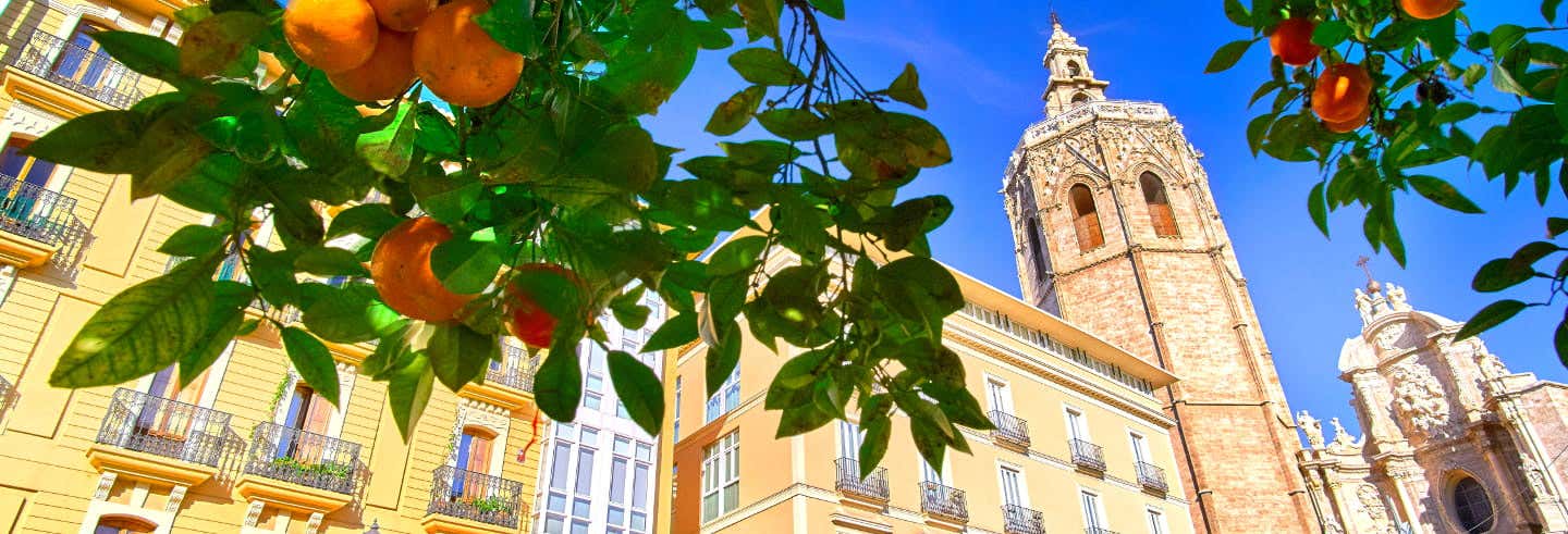 Day trips, tours and activities in The Valencian Community - Page 5