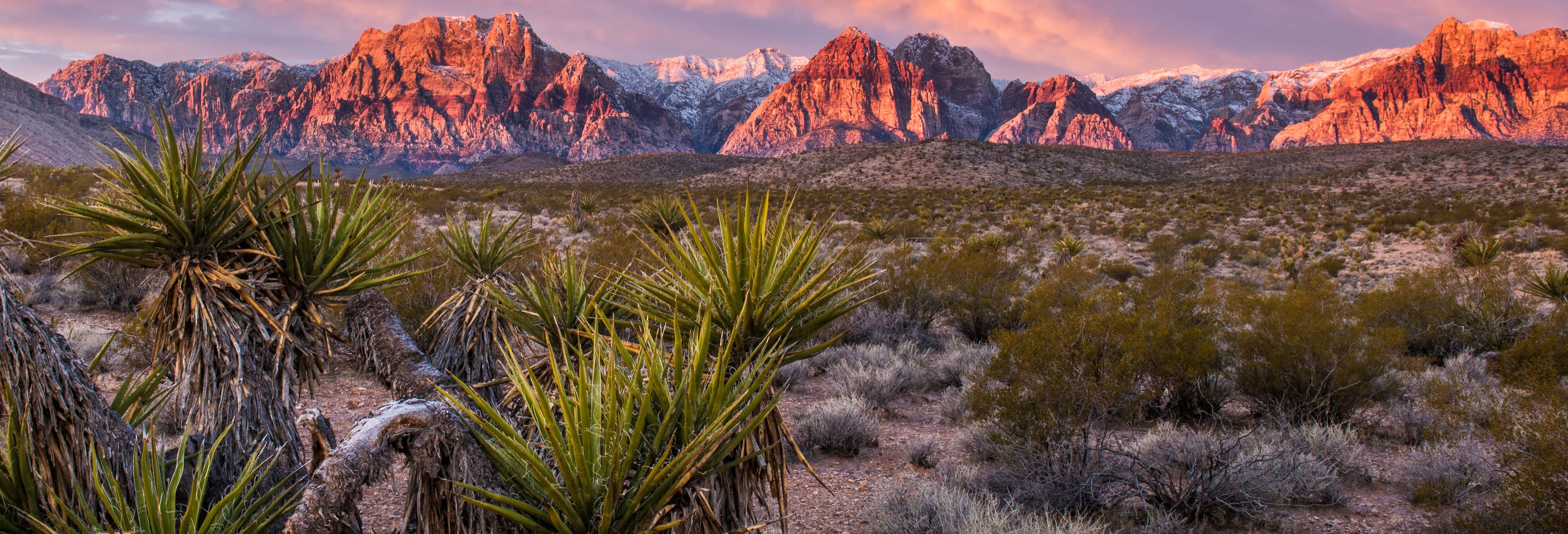 Excursiones, visitas guiadas y actividades en Nevada - Civitatis